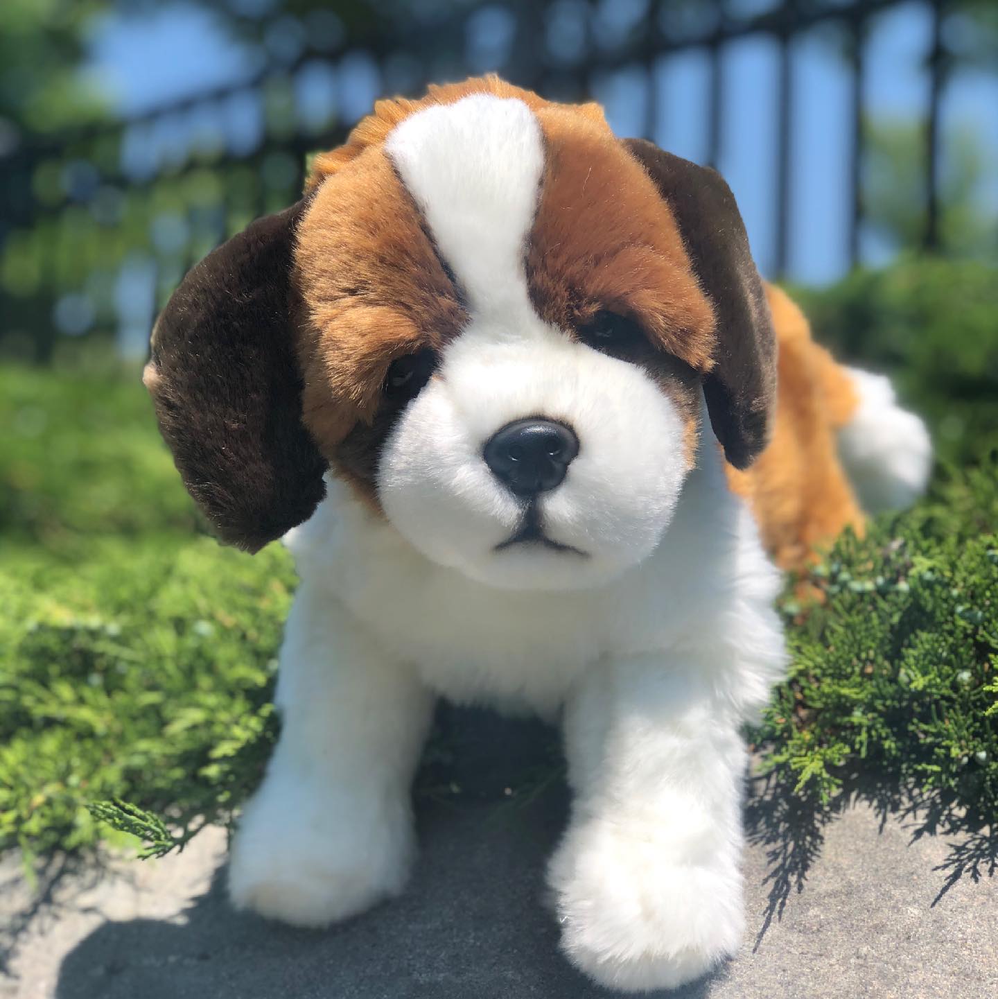 Mozart Our Adorable St.Bernard Plush