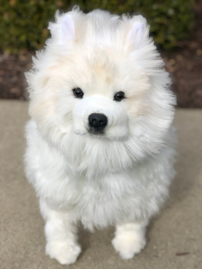 Giant Samoyed