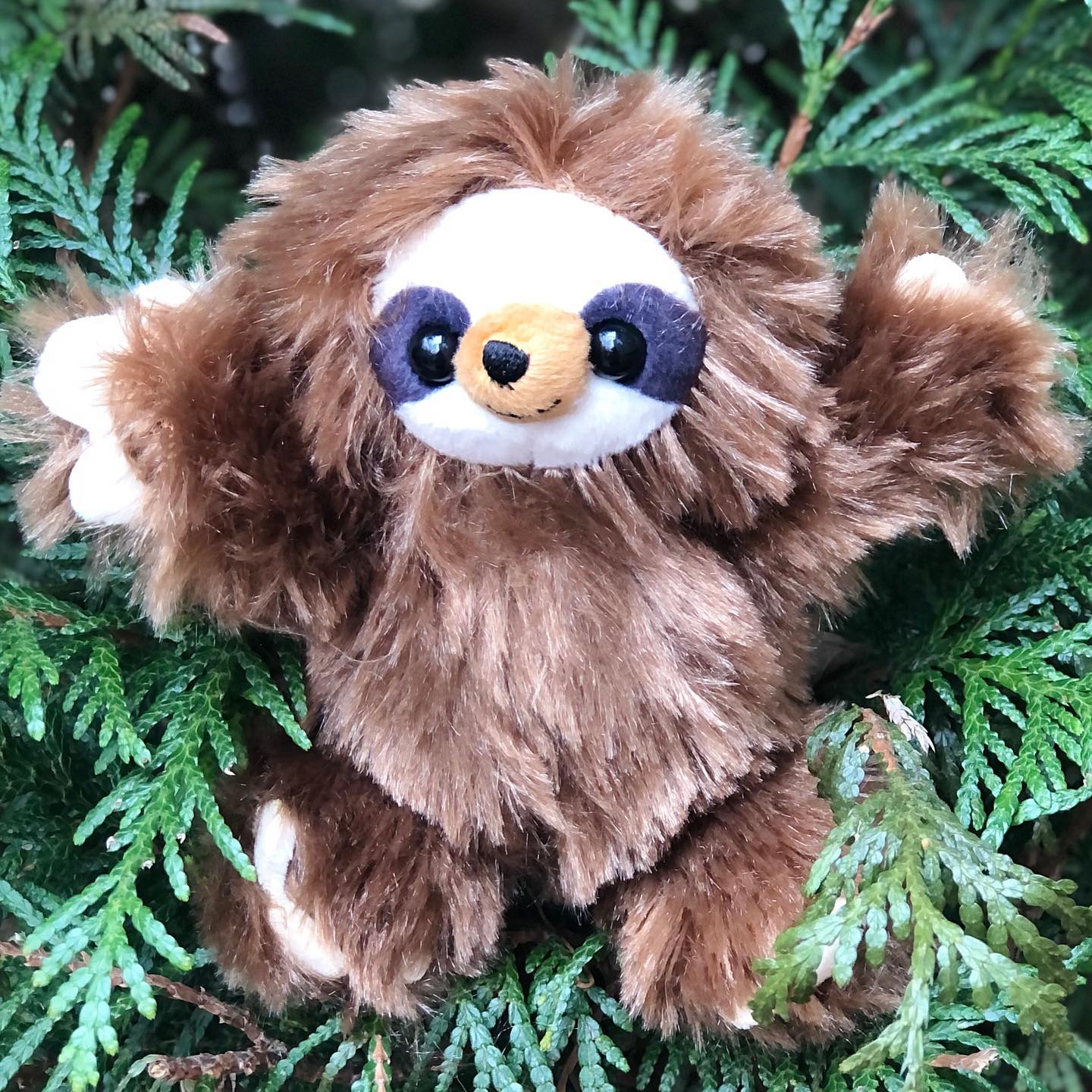 Mini 6 Inch Sloth