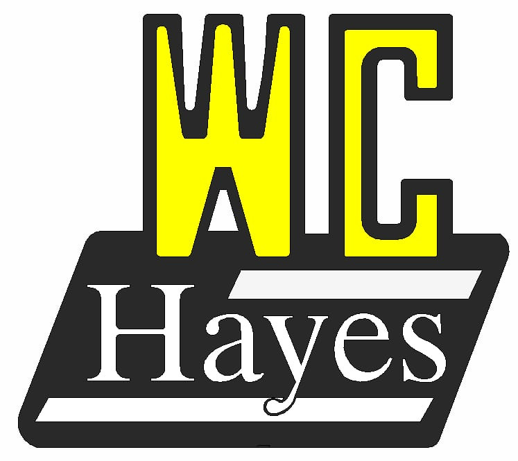 Western Cullen Hayes SA-XS Bi-Directional Spring Assisted Hinge Style ...