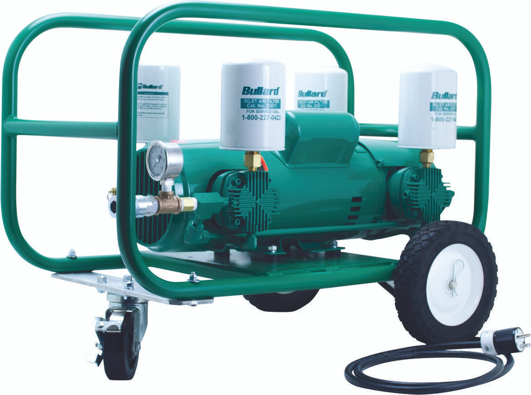 Bullard ICEPUMP11 8 cfm Free-Air Pump - Each | Western Safety Products