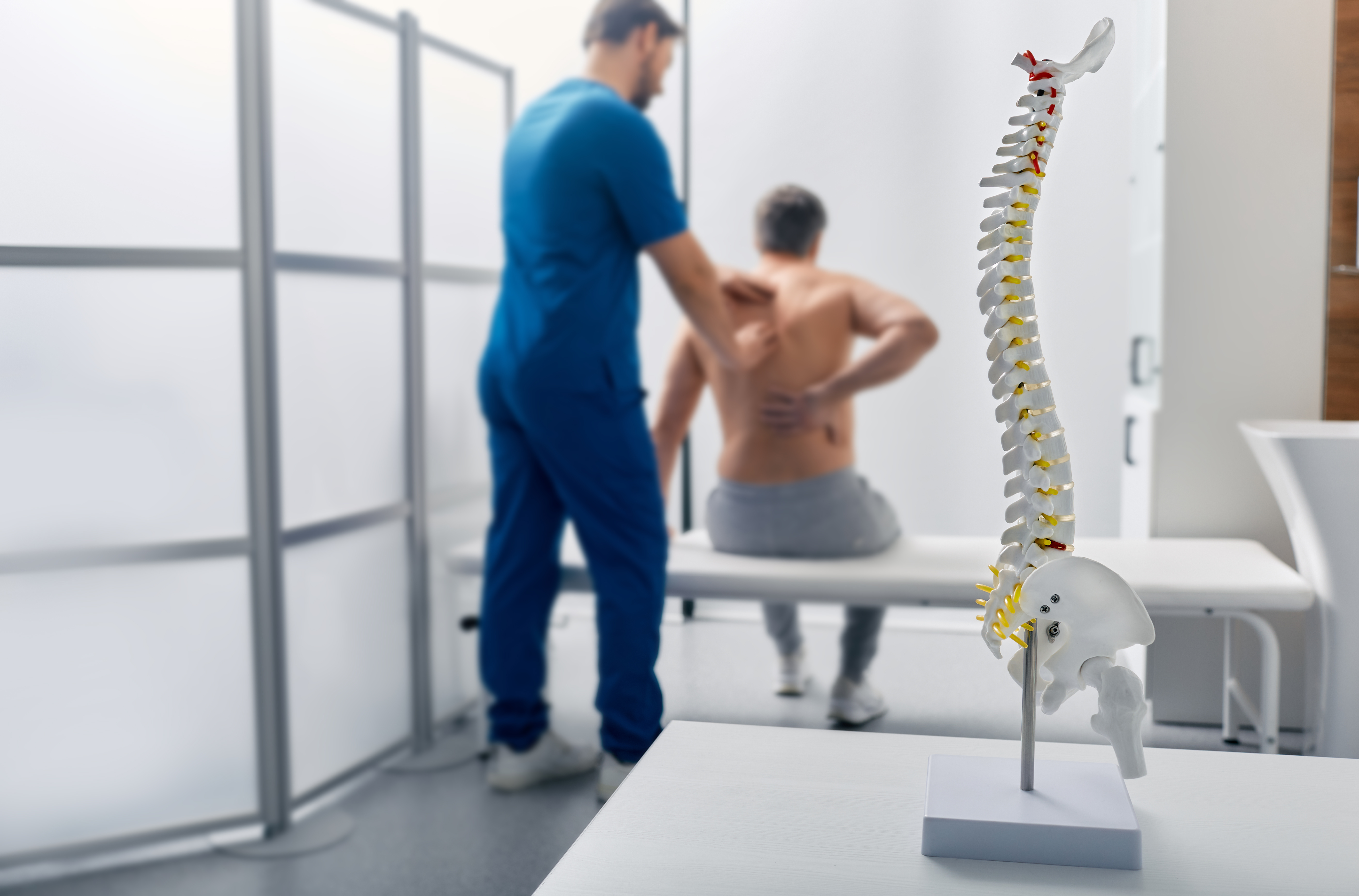 Copper and Collagen Formation: Why It Matters for Spinal Support - Dee ...