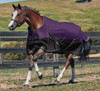 Pony Clothes - Pony Sheets - Turnout Sheets - Just for Ponies