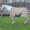 Pony Clothes - Pony Sheets - Turnout Sheets - Page 1 - Just for Ponies