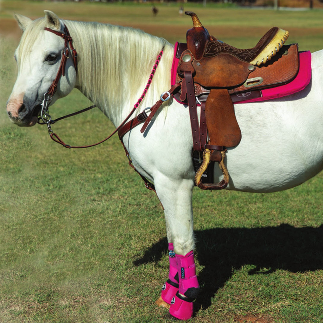 Pony Tack