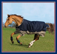 Pony Sheets