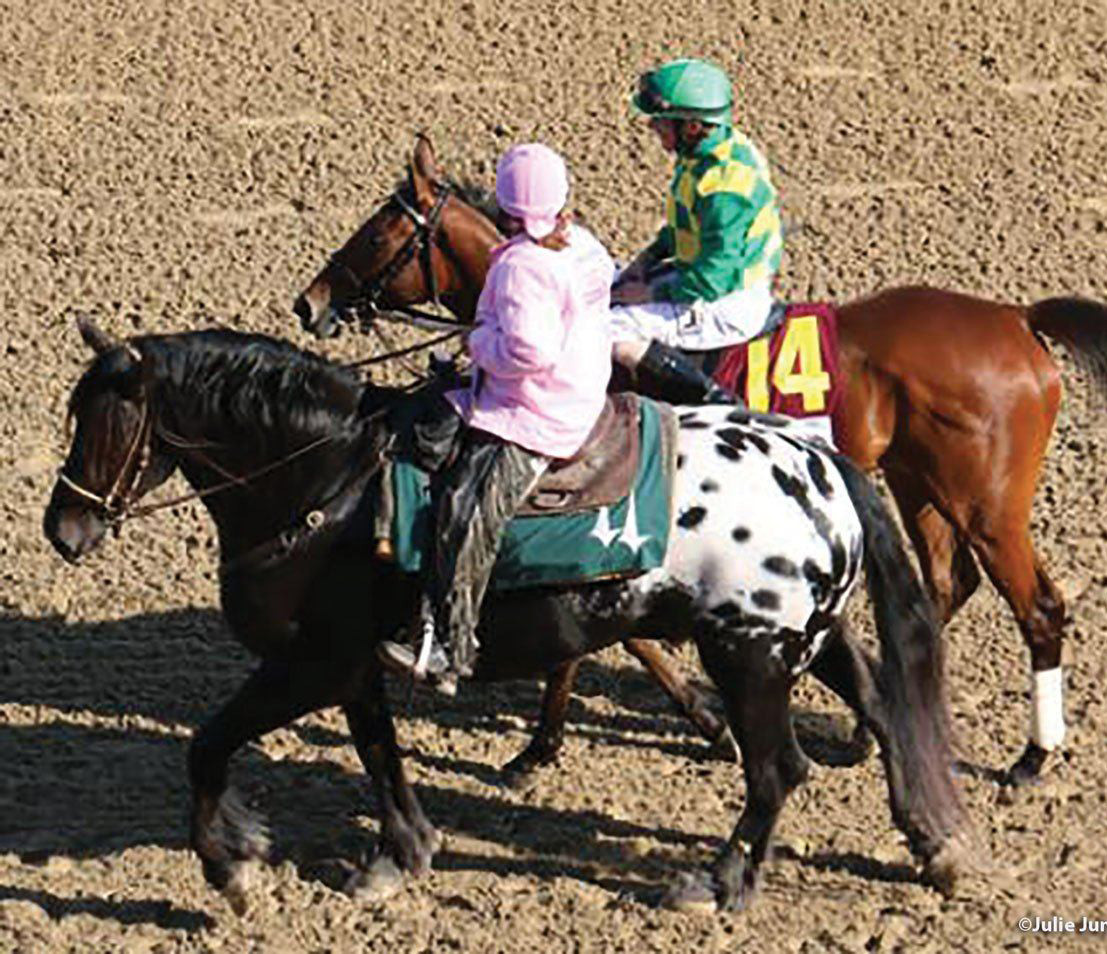 Breyer Harley, Famous Racehorse Pony