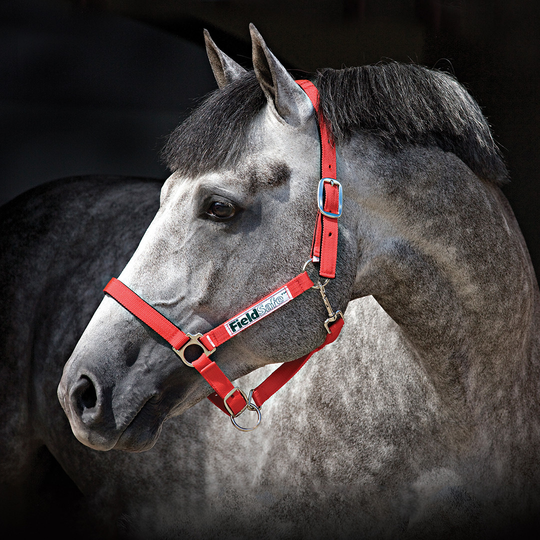 Horseware Field Safe Halter, Pony & Cob