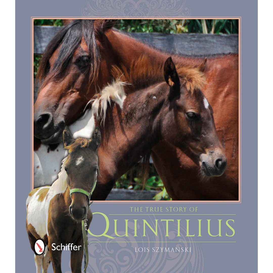 The True Story of Quintilius, A Chincoteague Pony