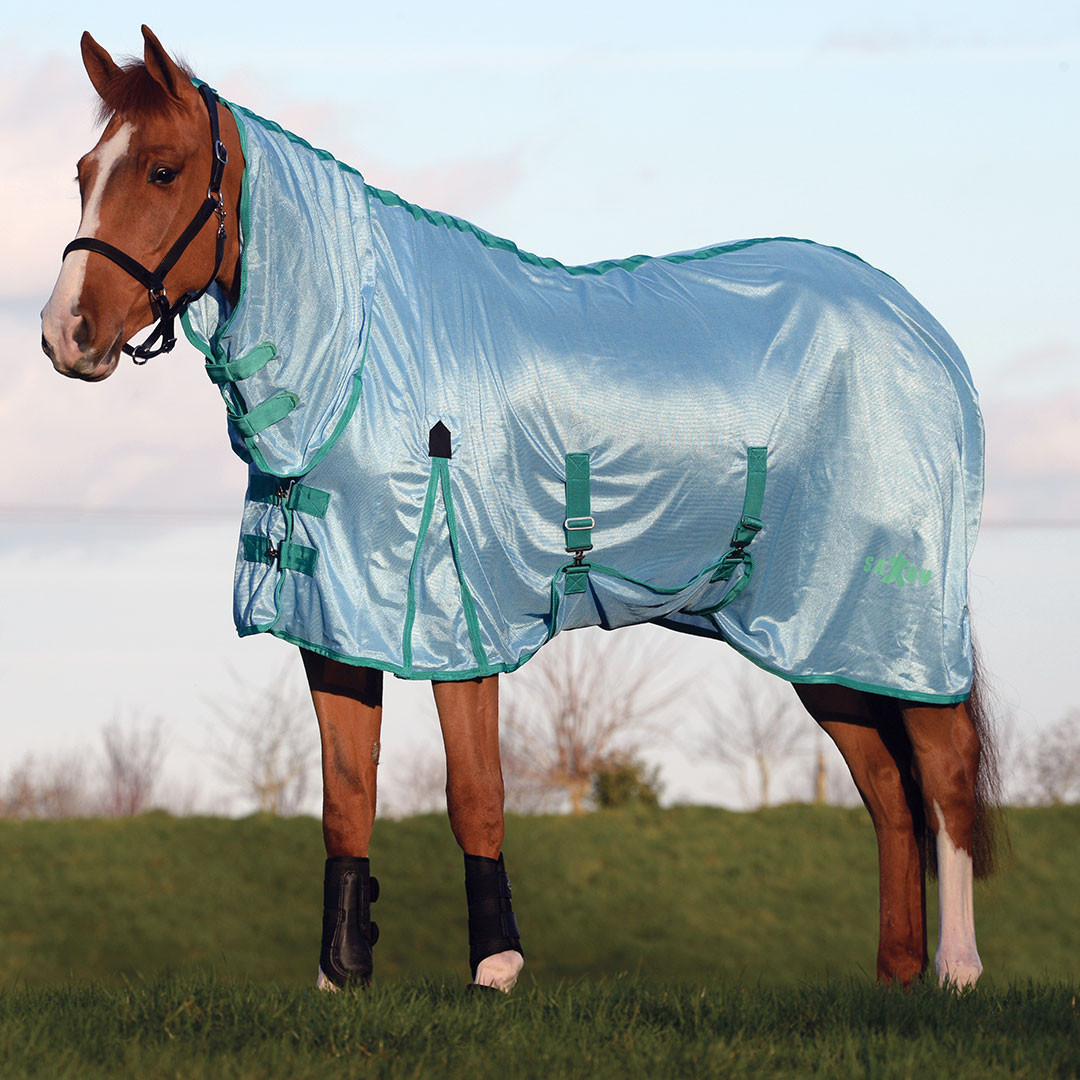 Saxon Mesh With Gusset Belly Wrap Combo Neck, Light Blue/Green