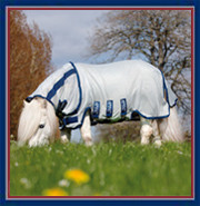 Miniature Horse / Shetland Tack & Supplies