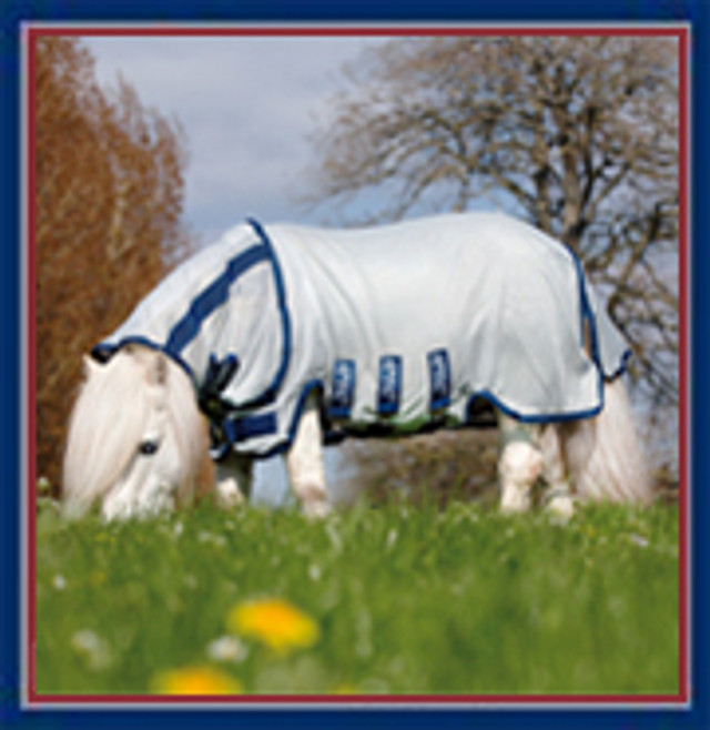 Miniature Horse / Shetland Tack & Supplies