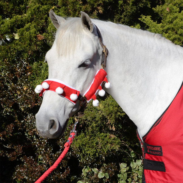 Holiday Horse Wear, Santa Halter Covers