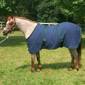 Jacks Newport Stable Sheet