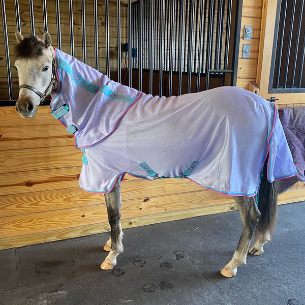 Amigo Bug Rug PLUS Pony, Lavender/Capris /Raspberry/Purple