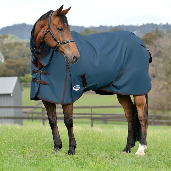 Weatherbeeta Comfitec Classic Combo Neck Heavy, Dark Blue/Coffee, 51" - 69"