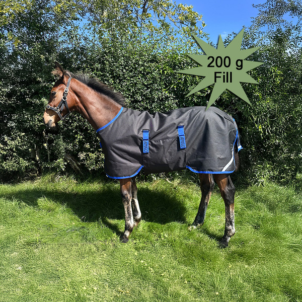 Amigo Foal / Mini Turnout Blanket, Black/ Classic Blue, 36" - 60"