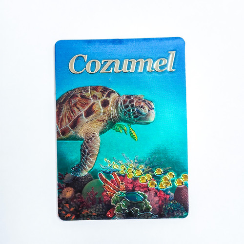 Turtle Foil Magnet Cozumel - Sea Creations