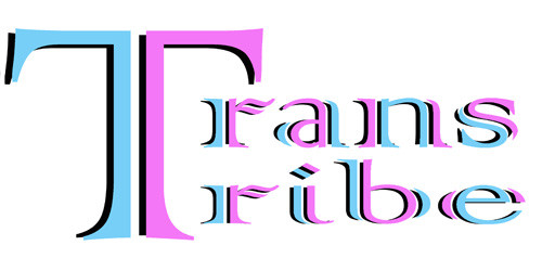 Long Sleeve LGBTQ - Trans Tribe