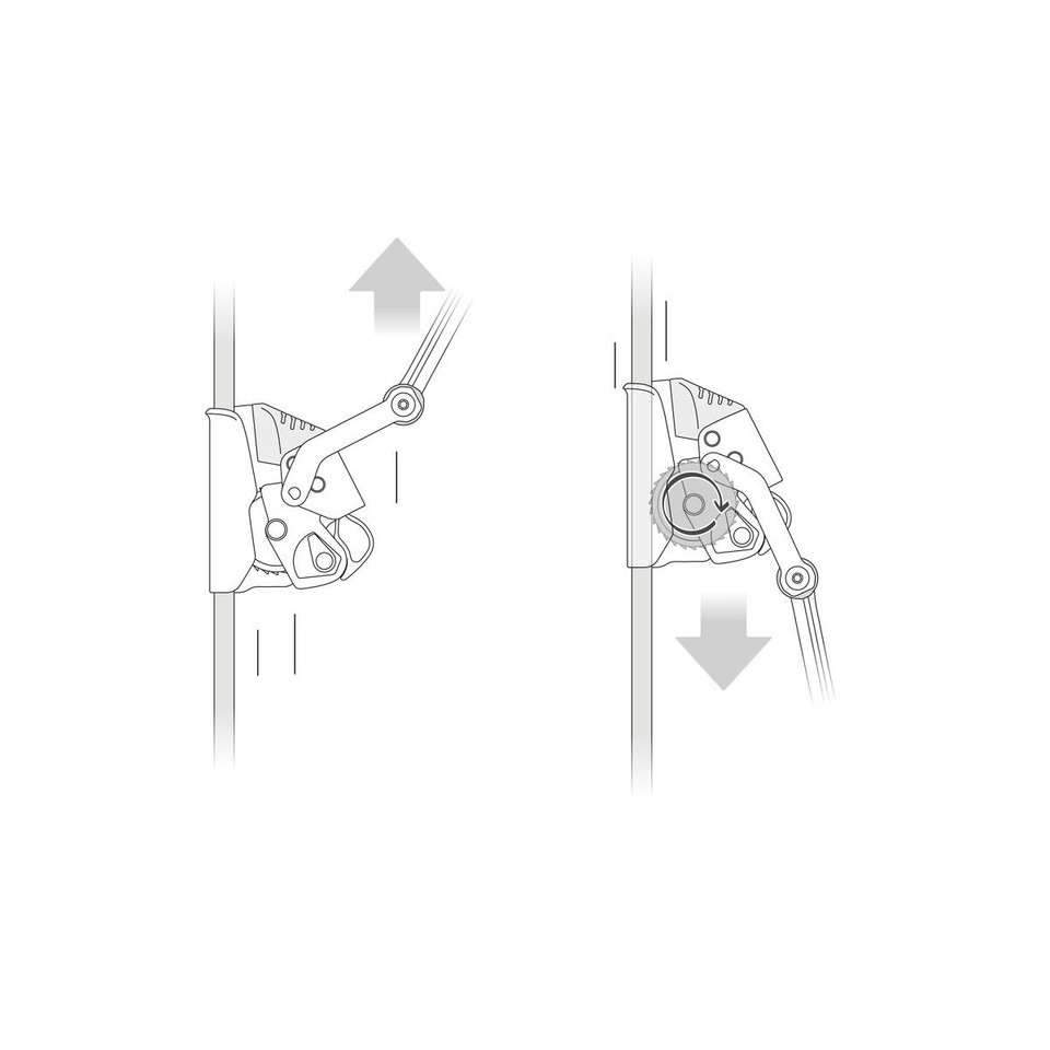 Petzl ASAP Lock – Vertical Supply Group