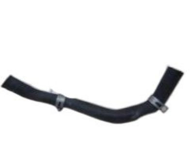 Hose, Fuel Vapor Feed, No.1 for Prius (2010-2015) / Prius V /Lexus CT200h