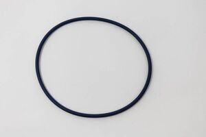 Fuel Pump Assembly Gasket - Toyota (77169-06060)