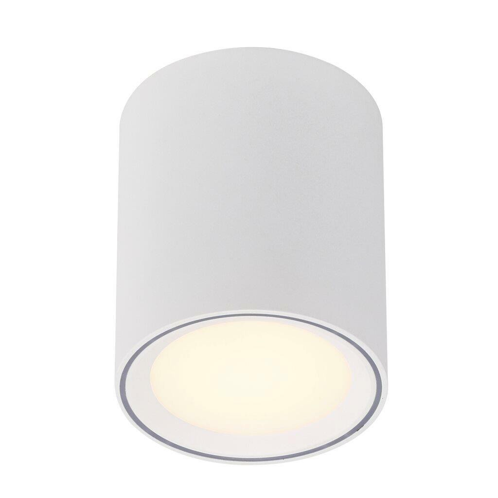 Surface Downlights | Ceiling-Mount No-Cut Spotlights | The Online ...