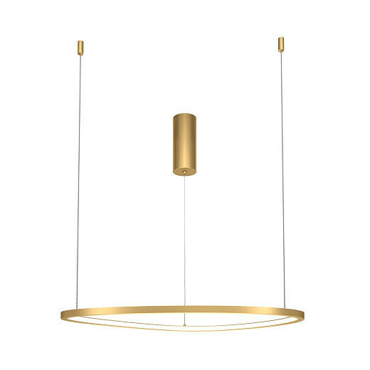 CIRCLE 60cm Gold Ring LED Pendant Light