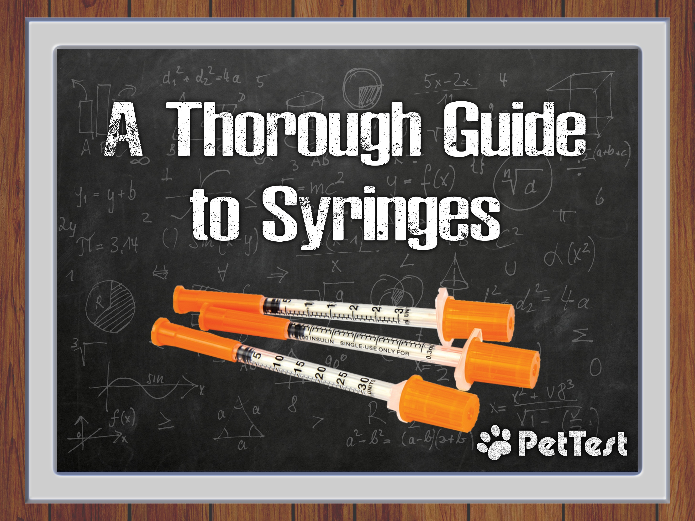 A Thorough Guide to Syringes - PetTest Canada