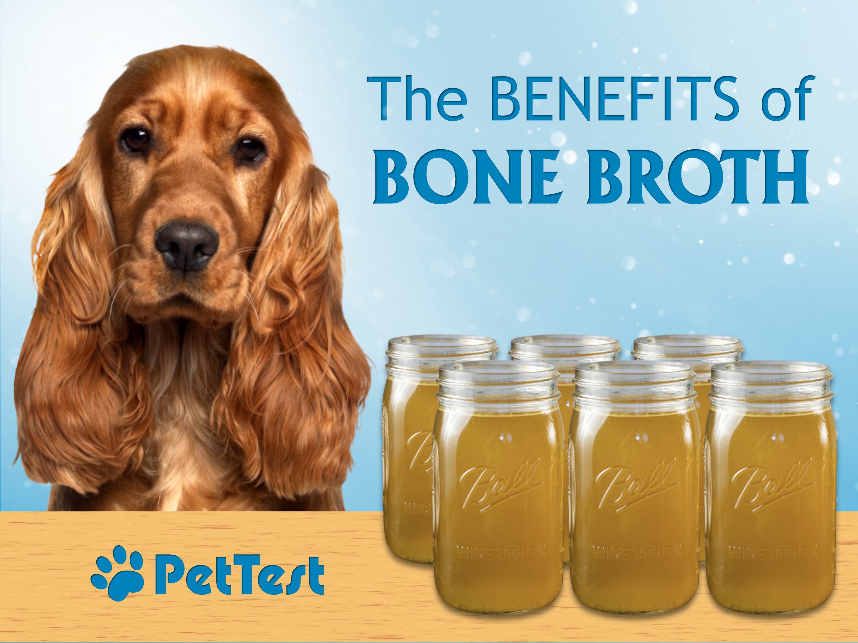 The Benefits of Bone Broth - PetTest Canada