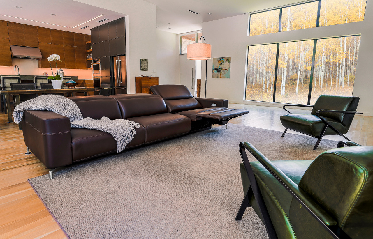 Monza | Modern Motion Sofa | American Leather