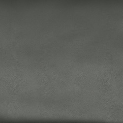 Bison Charcoal | Leather | American Leather