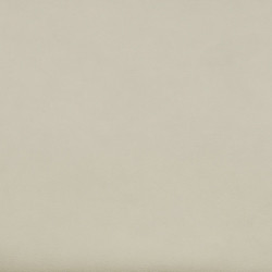 Toray Ultrasuede Beige | Fabric | American Leather