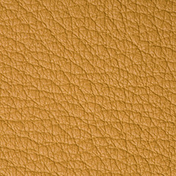 Bison Mustard | Leather | American Leather