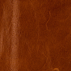 Mont Blanc | Evergreen - American Leather