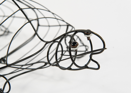 Tortoise / Turtle Small Topiary Frame - Gardening Delights