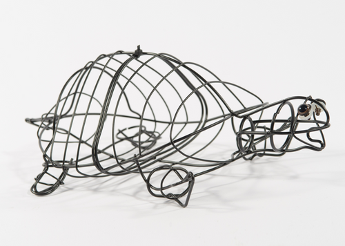 Tortoise / Turtle Medium Mossed & Planted Topiary frame