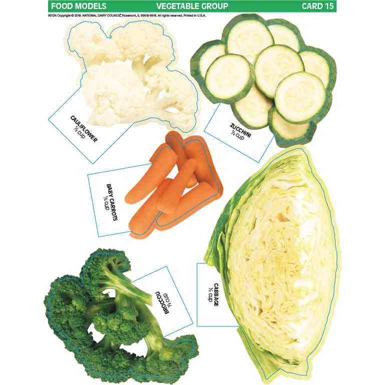 Food Models (Information Only) - AgClassroomStore at USU