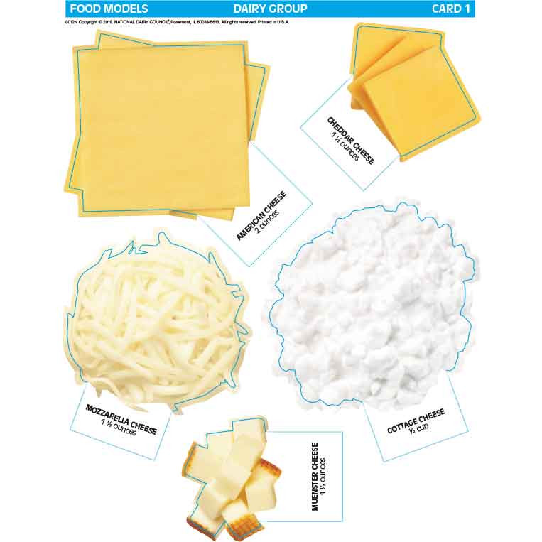 Food Models (Information Only) - AgClassroomStore at USU