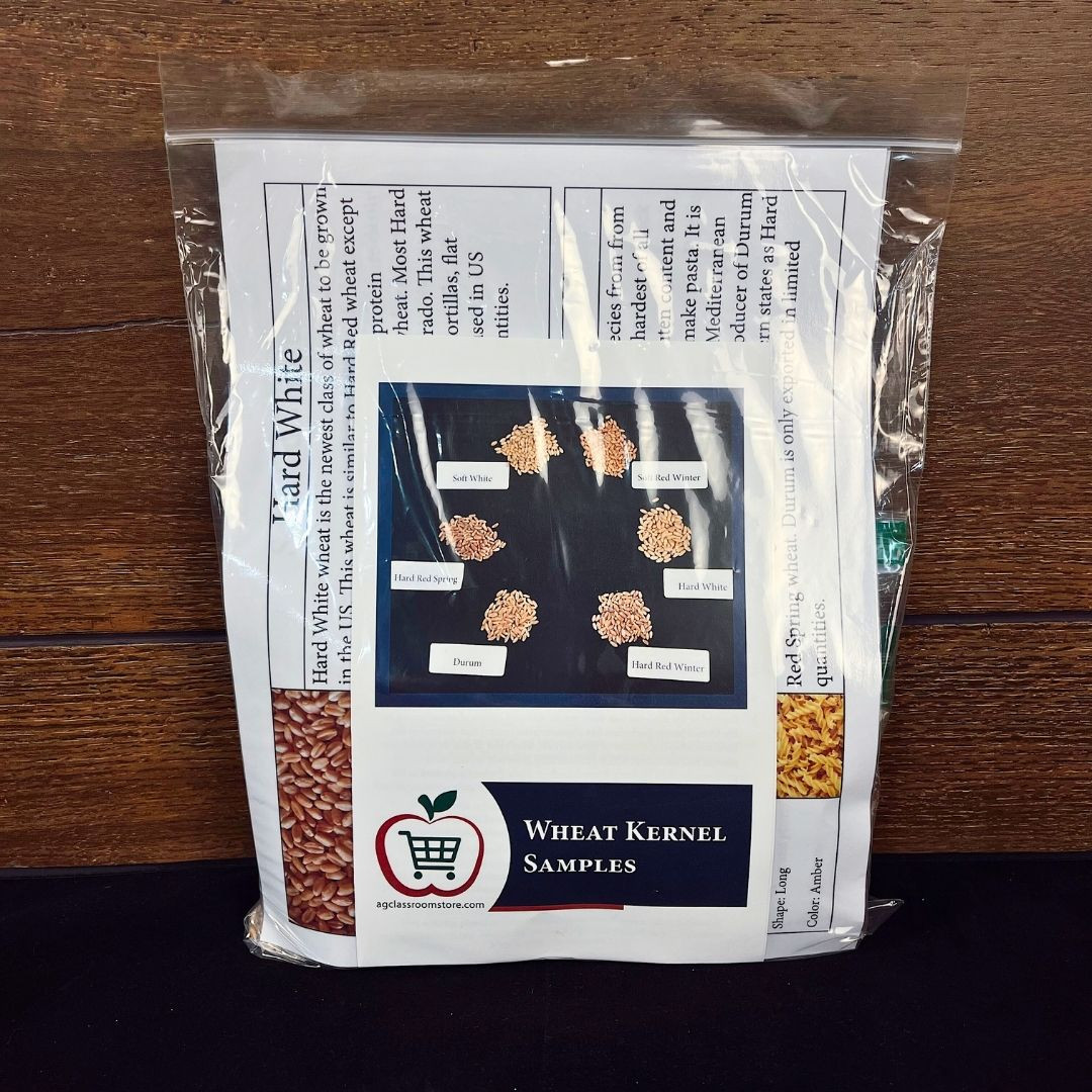 Wheat Kernel Samples - AgClassroomStore at USU