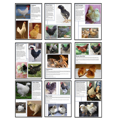 Parent/Offspring Cards - AgClassroomStore at USU