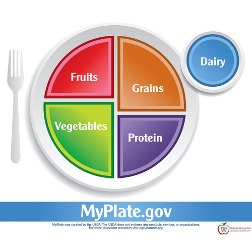 MyPlate Activity Poster - AgClassroomStore at USU