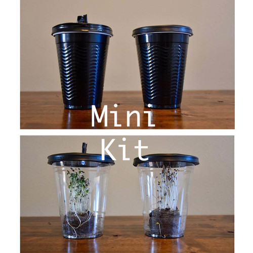 Desktop Greenhouses - Mini - AgClassroomStore at USU