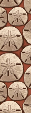 Ocean Treasure Coral Sand Dollar Rug