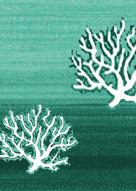 Coastal Beach Theme Rug with Coral Pattern!