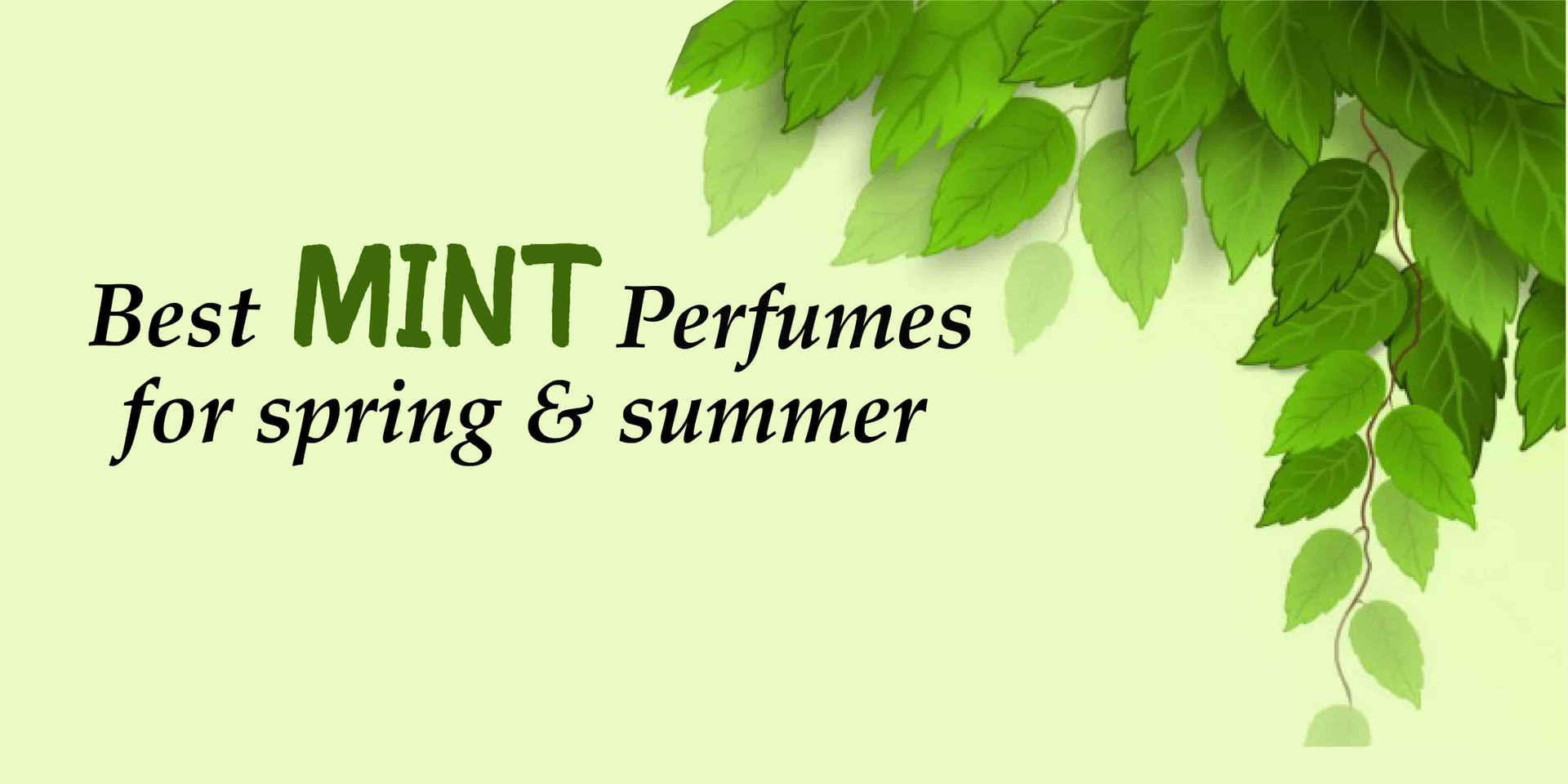 Best Mint Perfumes for Summer and Spring - Eau Yes NY