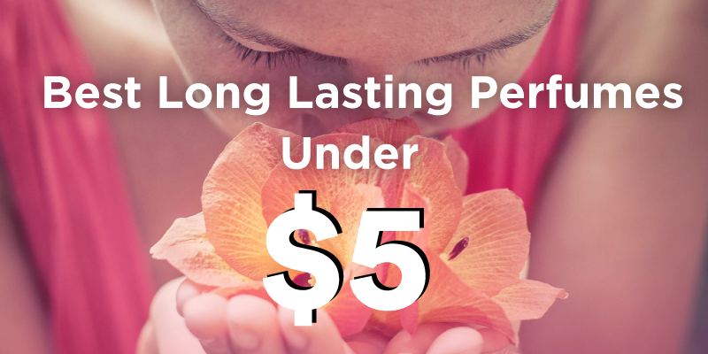 5 Best Longevity Perfumes Under $5 - Eau Yes NY
