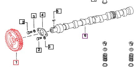 GEAR, CAMSHAFT (003064085R3) - Bill's Tractor