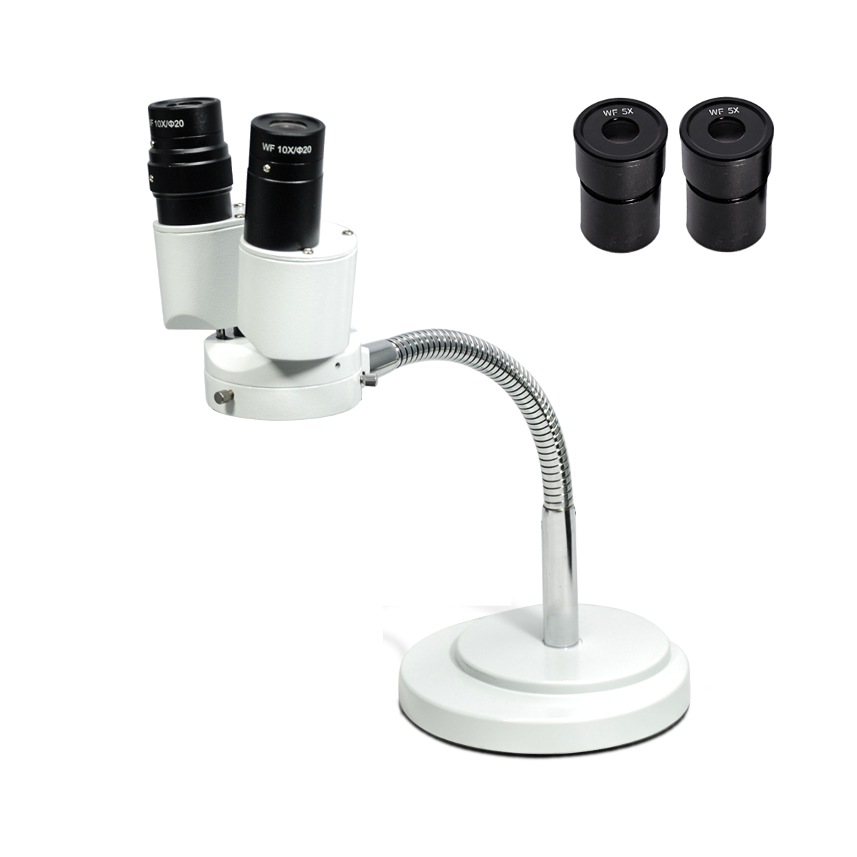 4X/8X 8X Eyepiece Field of View Dia. 20mm Binocular Fixed Power Stereo ...