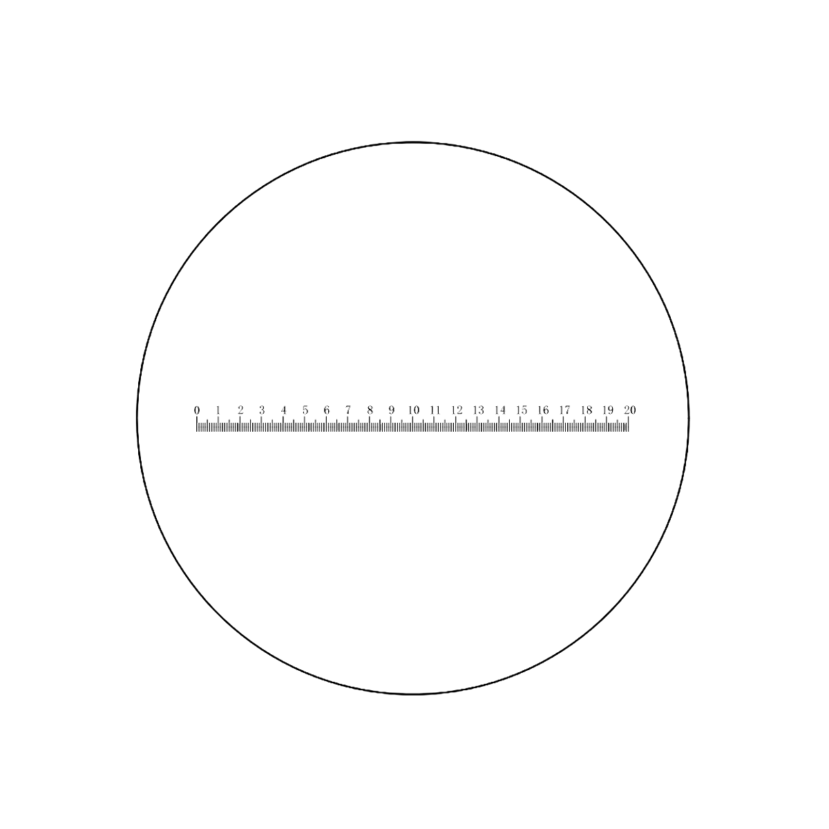 20mm/200 Div Single Line Reticle RT20101181 | Boli Optics Microscope Store
